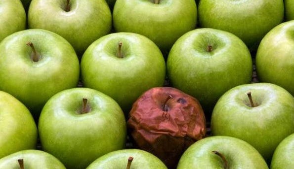 There’s a rotten apple in every barrel | by Alex Specht | Medium