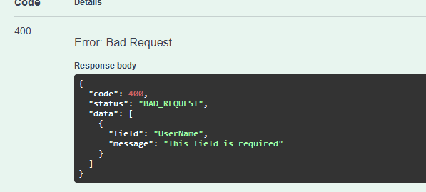 return value json tag go playground validator | by odyvia | Jan, 2023 | Medium
