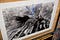 A Closer Look Into the World of Seattle Batman, Shon Abrahamson, And ...