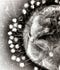 The curious history of NovaMin toothpaste | by Ten Bitcomb | Medium