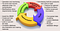 Database Life Cycle. History of the database in an information system | Informatics