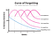 What you need to know… about The Curve of Forgetting
