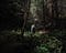 The Man in the Woods - The California Sunday Magazine - Medium