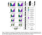 U2Net : A machine learning model that performs object cropping in a ...
