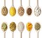 14 Spices in Baby Food — What, When and How to Add? | by Babygogo ...