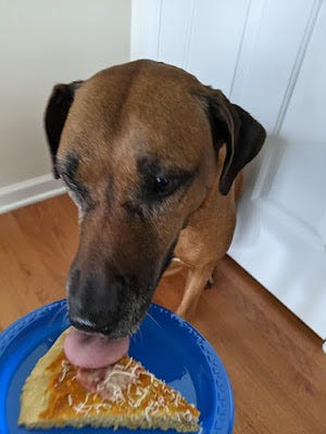 Wholesome Canine Nutrition: Dog-Friendly Pizza | by apiperburgi | Oct ...