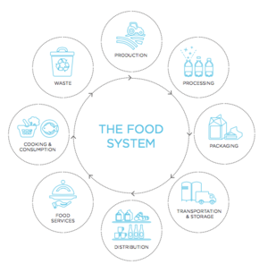 10 Principles for a Better Food Future | by Dr Sandro Demaio | Medium
