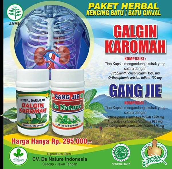 Obat Penyakit Nefritis(Radang Ginjal) | by denature hidayat | Medium