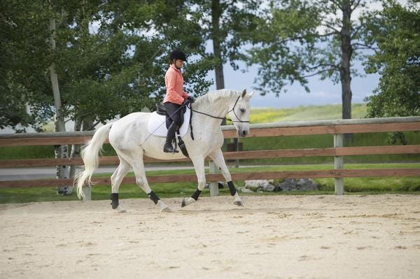 Flying lead changes. What are they and how do you get them? | by Don ...