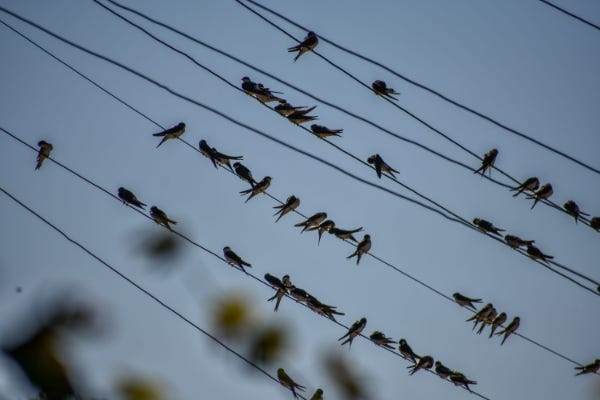 How To Use Swift In An Objective C Project By Kaan Ünlü Medium