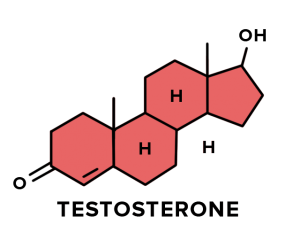 #DrewsViews: Here’s the T — Different Types of Testosterone Available ...