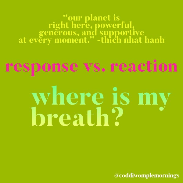 The Opposite of Intention. Today was the opposite of intention… | by E ...