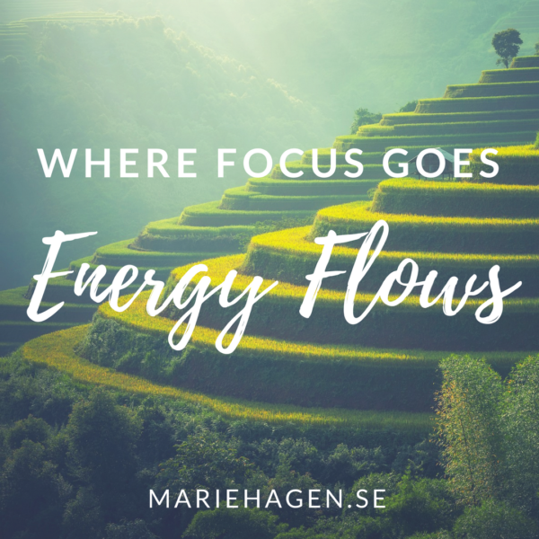 Where focus goes energy flows. This is one of my favorite quotes and ...