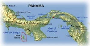 Coiba Bioblitz Project Promotes Conservation through Photography | by ...