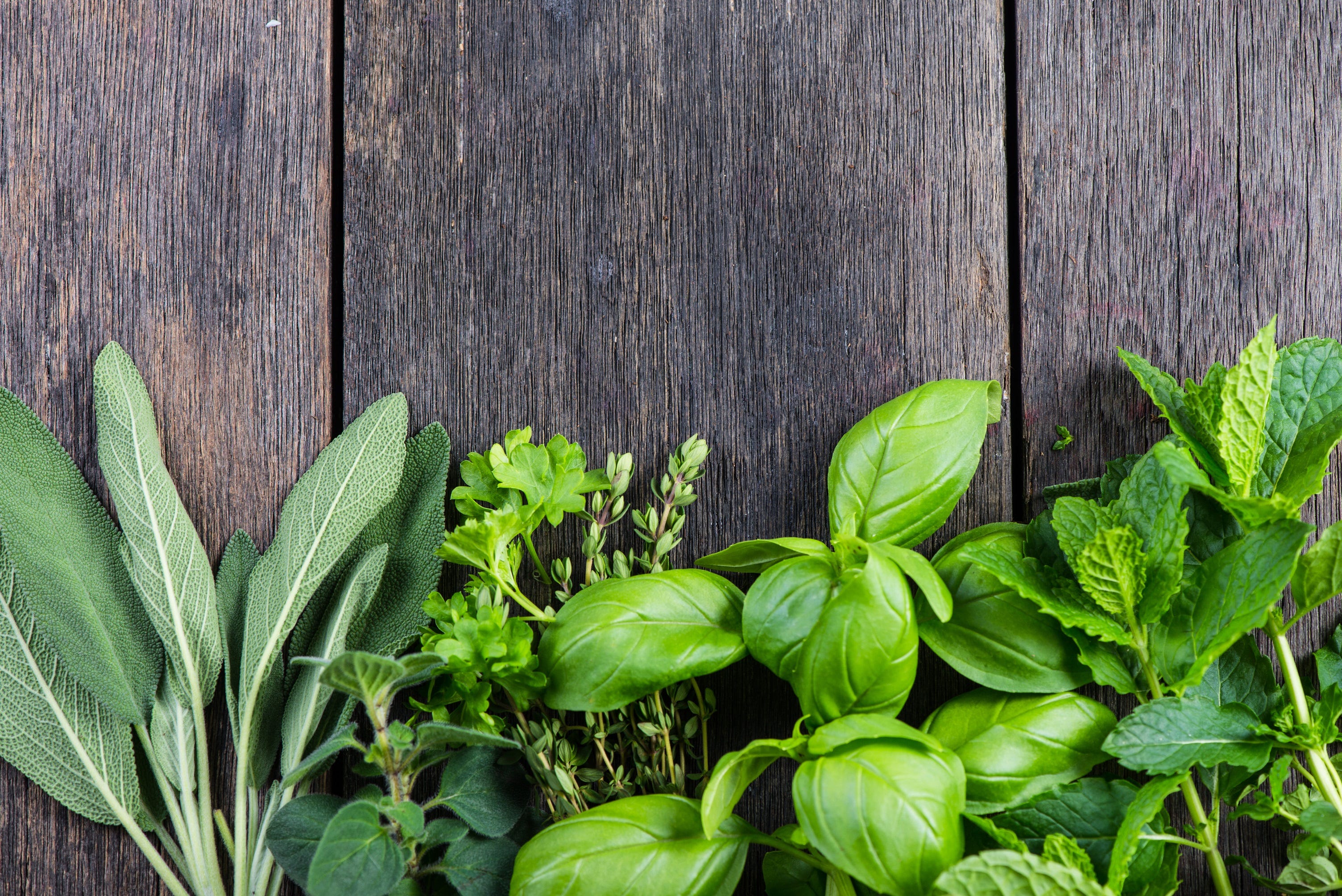 The Alphas Produce Company On Natural Home Remedies: