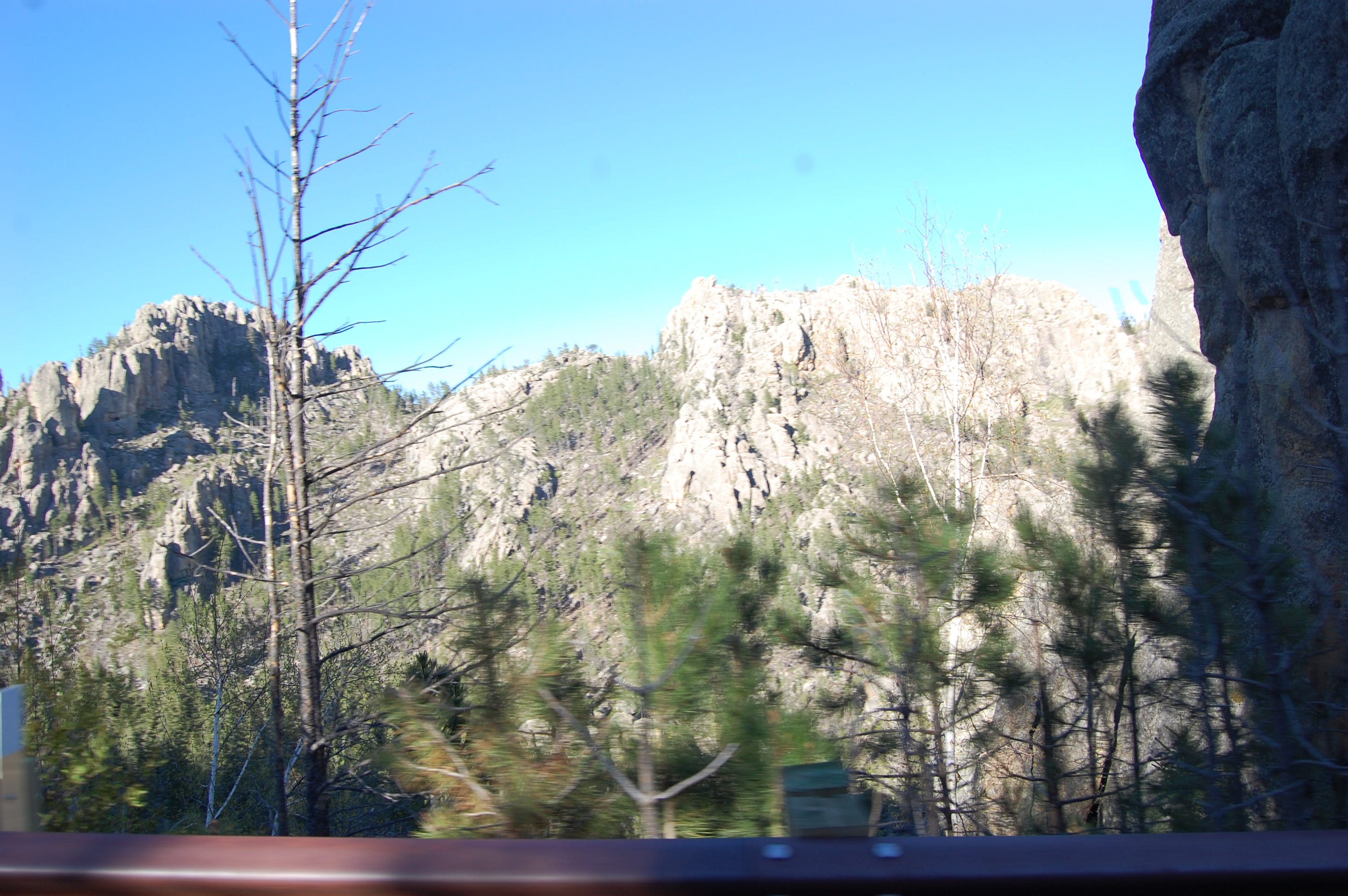 Oregon by way of Custer State Park | by Jimmy Dixon | Medium