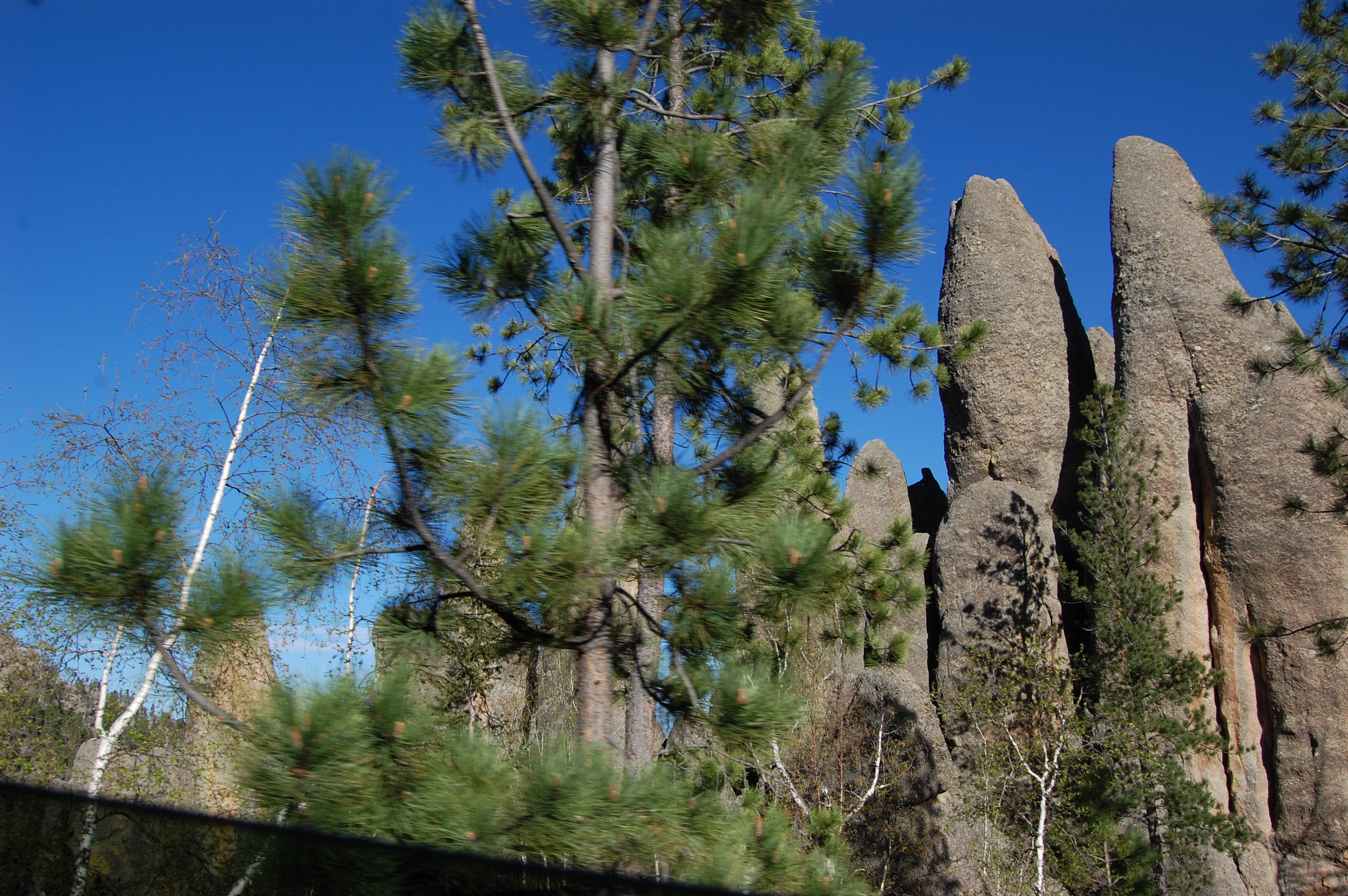 Oregon by way of Custer State Park | by Jimmy Dixon | Medium