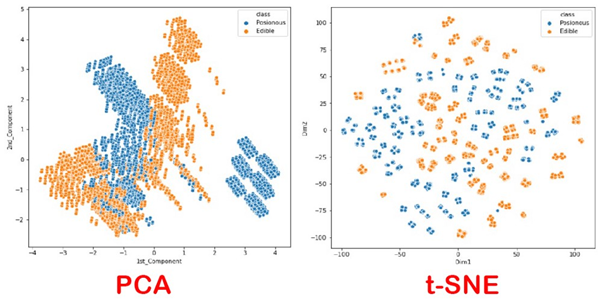 Everything About t-SNE. t-SNE means t-distribution Stochastic… | by Ram Thiagu | The Startup ...