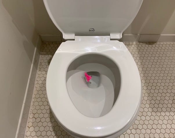 This Parenting Hack Has to Do with Flushing and Poop | by Daniella Mini ...