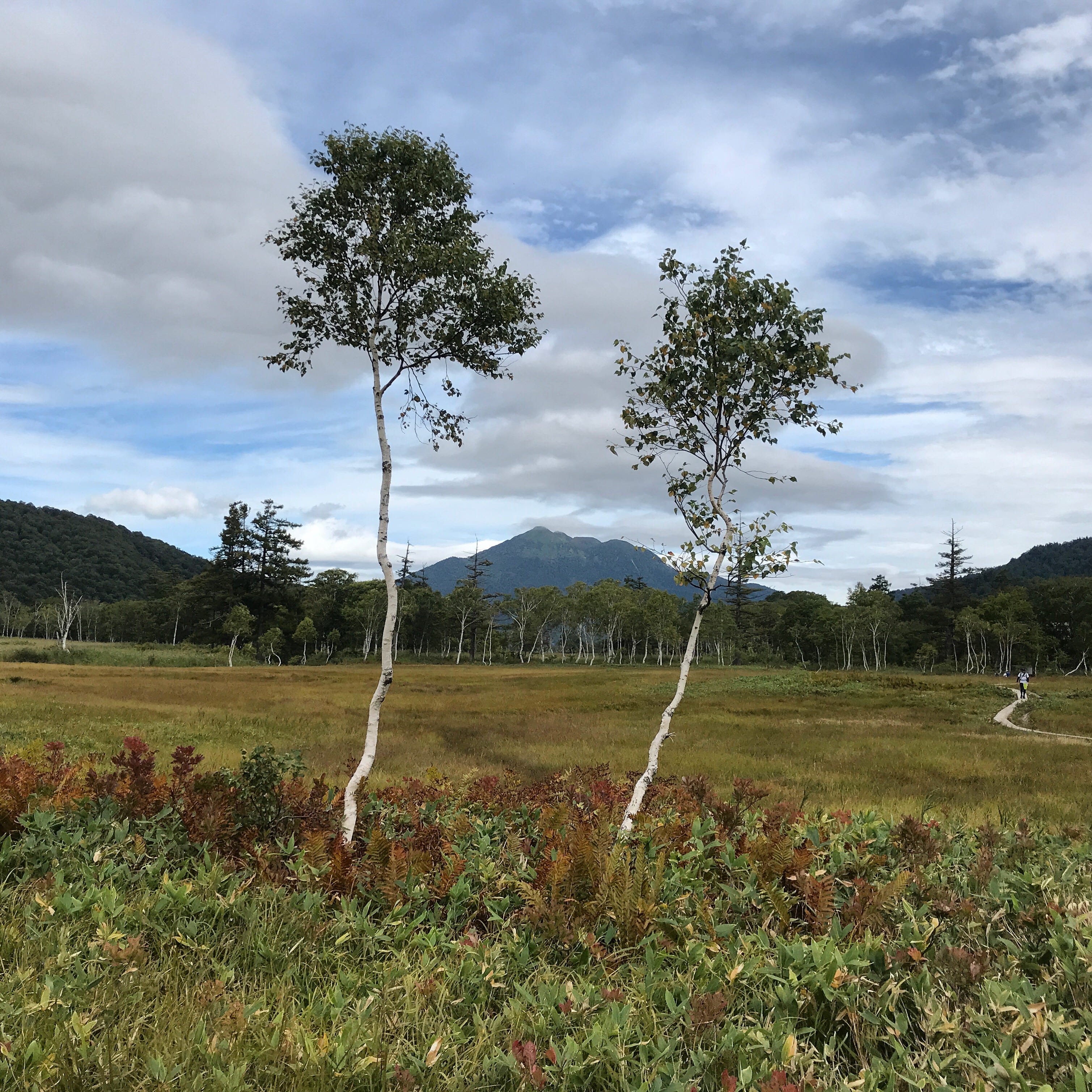 34 — Mt. Shibutsu 2228m. 22 September 2019 | by Ann van den Borne | 100 ...