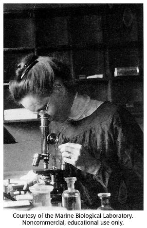 Nettie Stevens. The american #geneticist who discovered… | by Sci ...