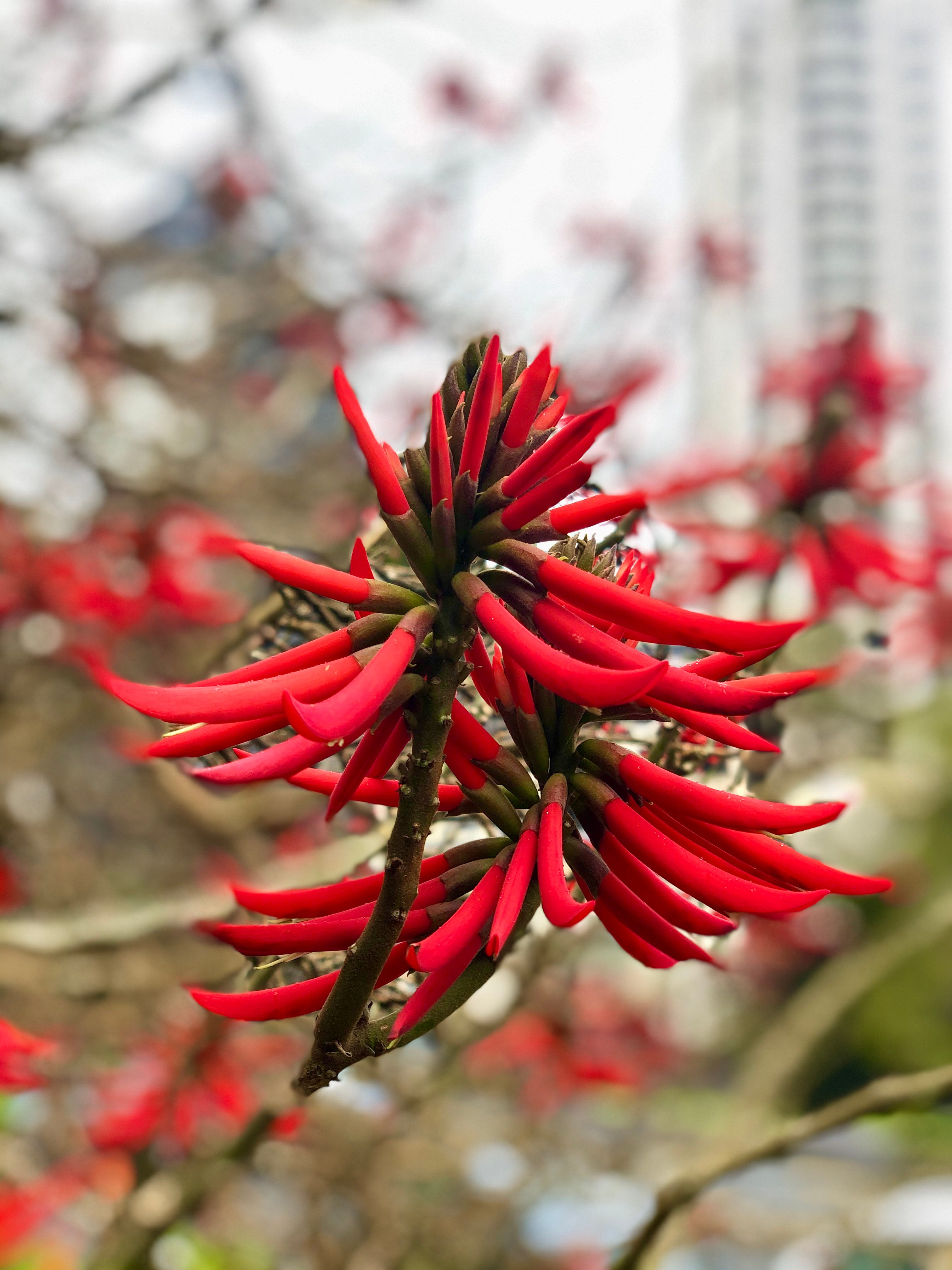 Are you sure?. 29 September 2019 | by Alyson Whatcott | Medium