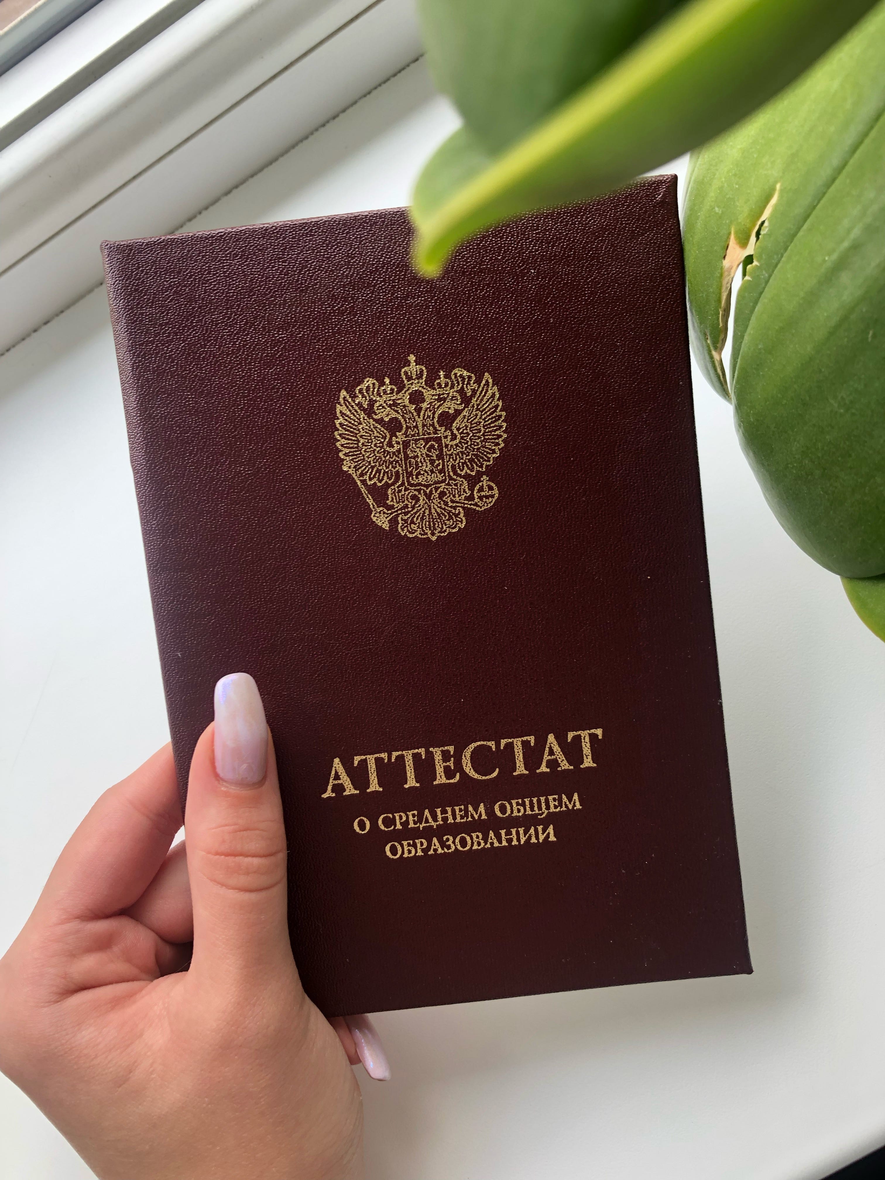 What was in store for me in 2019?💫 | by Sofia Markina | Medium