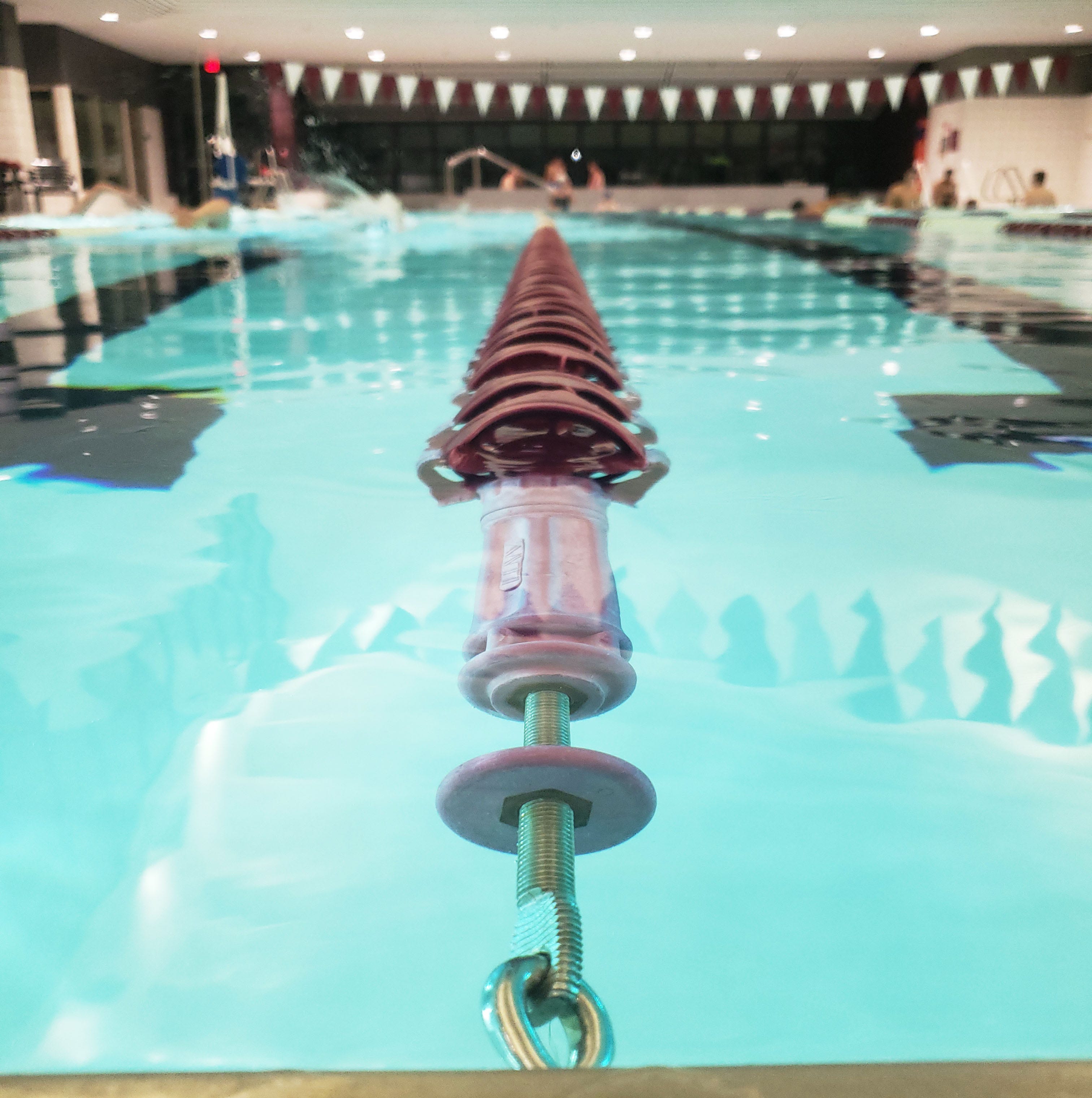 CMU Club Swim and Dive | by Victoria Teachout | Victoria’s Portfolio ...