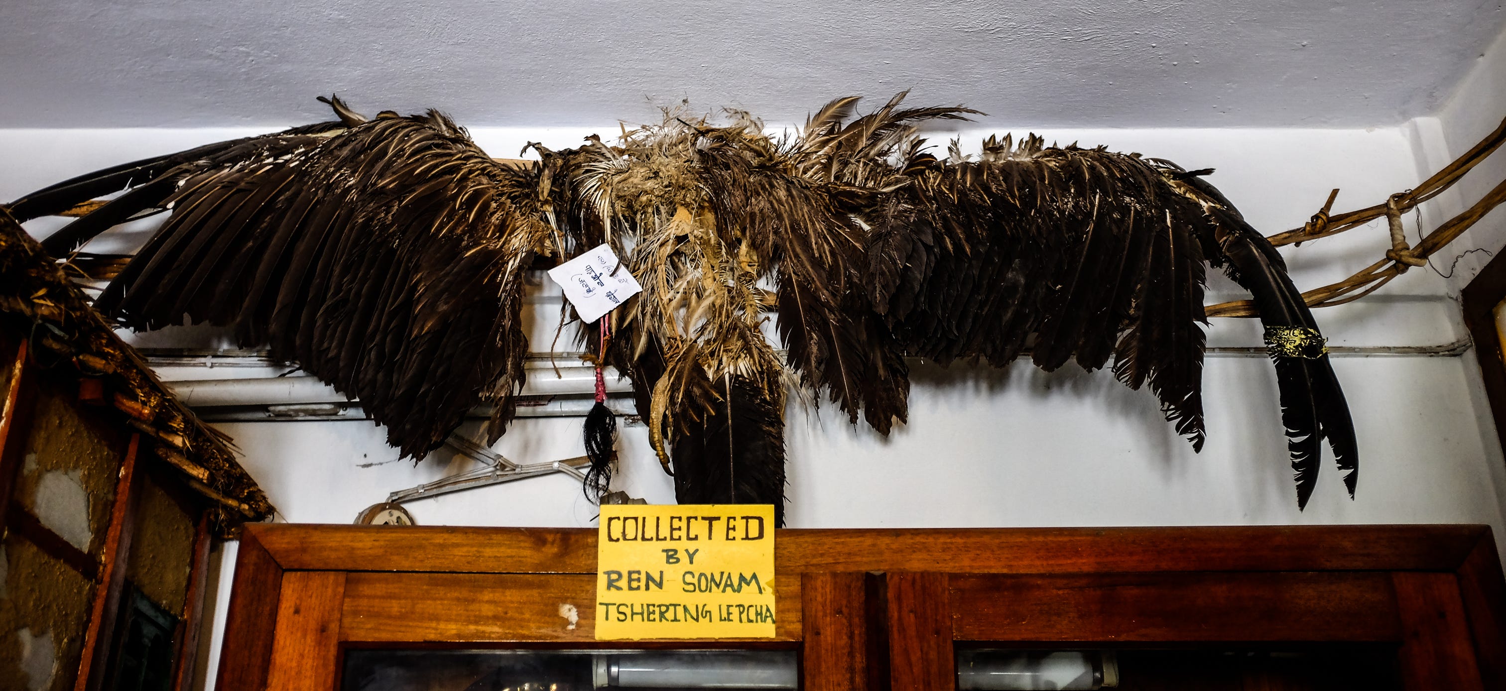 Lepcha Museum, Kalimpong - for all i see - Medium