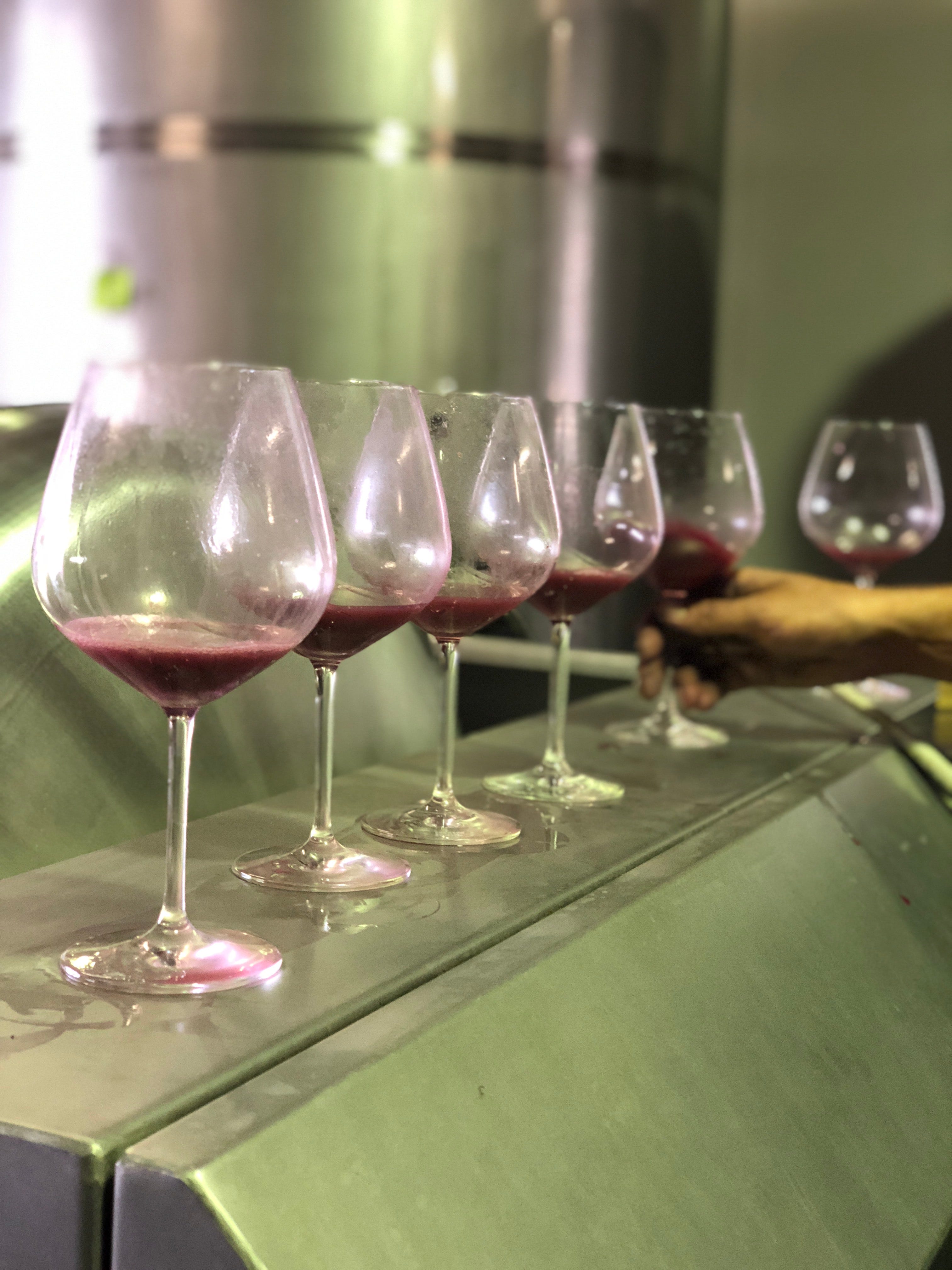 How To Make Wine For Beauty. and other things I learned working the ...
