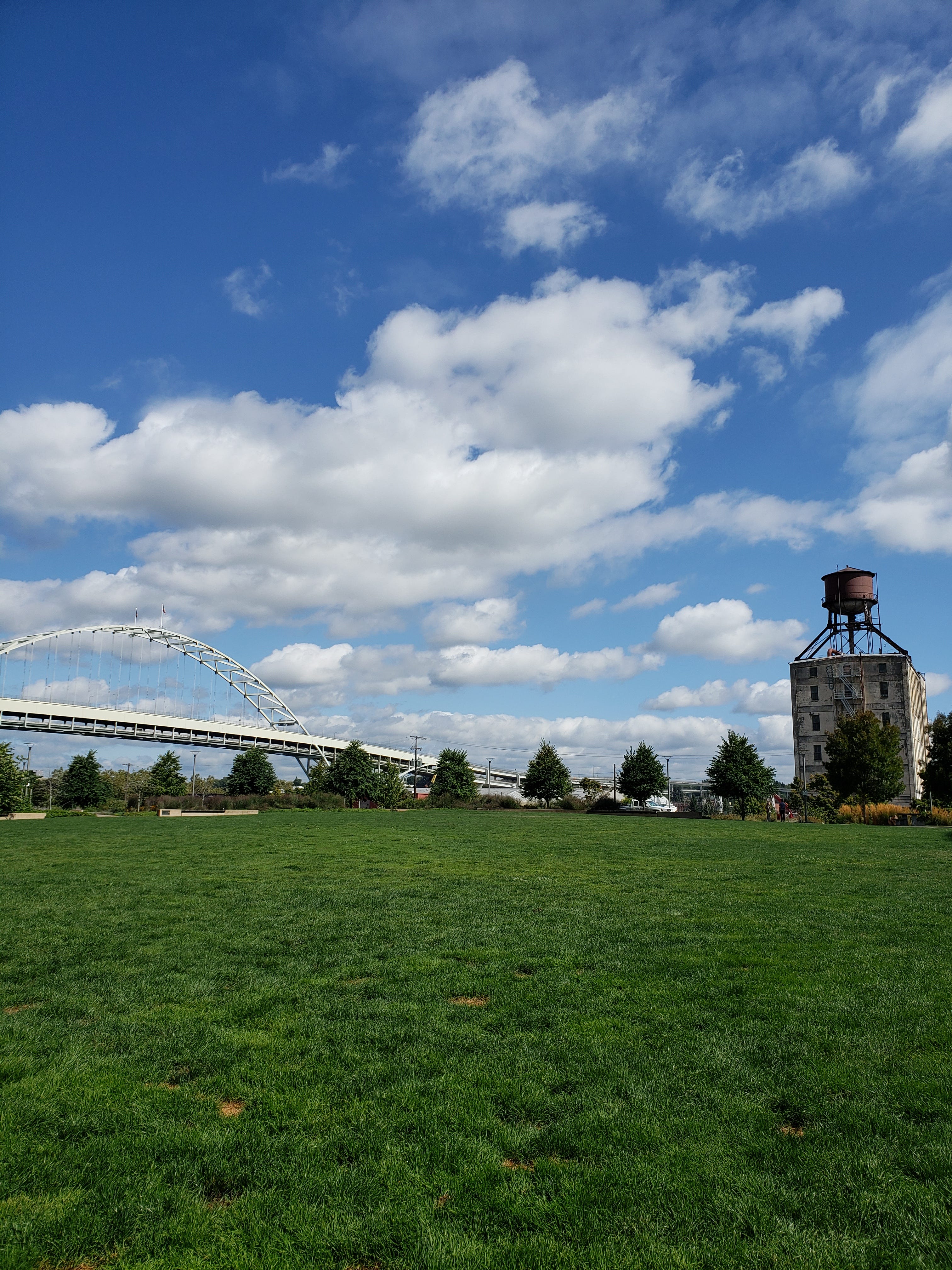 6 Lessons from Portland. Insights for a thriving public realm | by ...