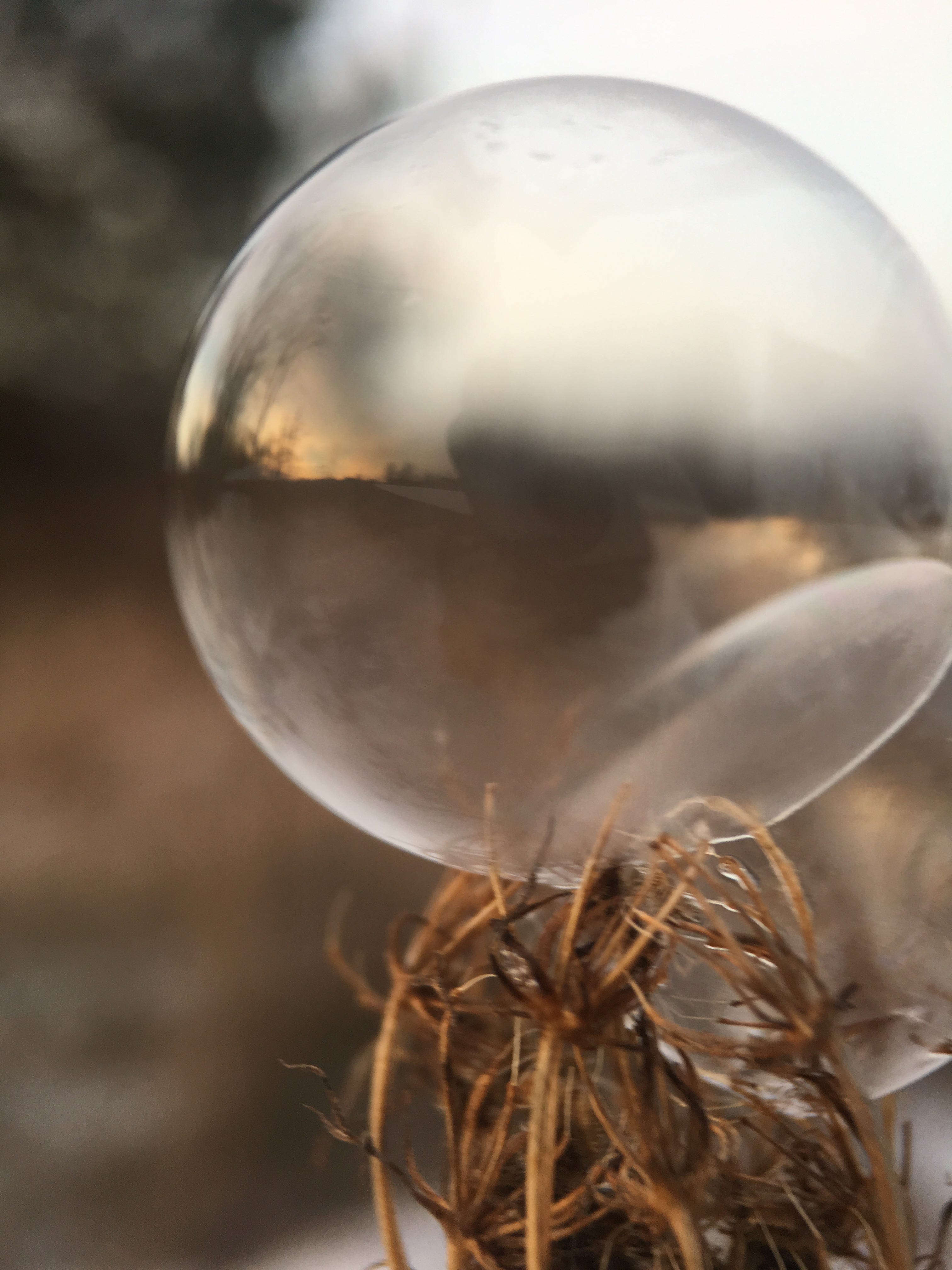 Capturing a frozen bubble. Unsplash Untold #14 — The beauty of… | by ...