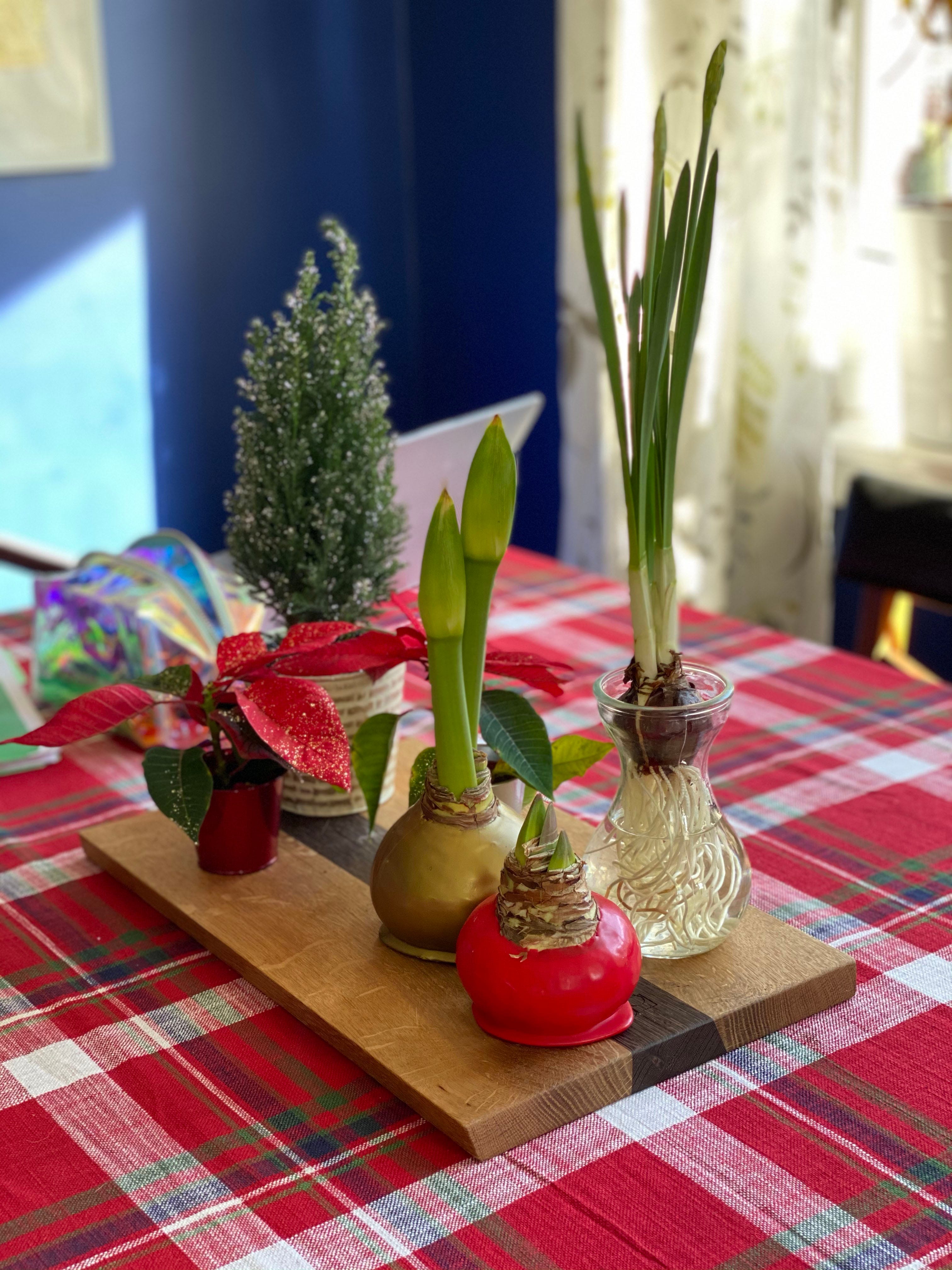 How Plant Care Can Nurture Us. April Lewis, Director of Community ...