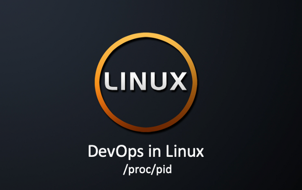 Linux — /proc/pid Directory, Part Four | by Tony | Jan, 2023 | Dev Genius
