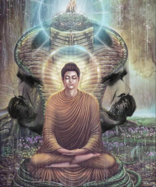 Where Nietzsche Diverges from Buddhism | by Sam W. Delorme | Medium