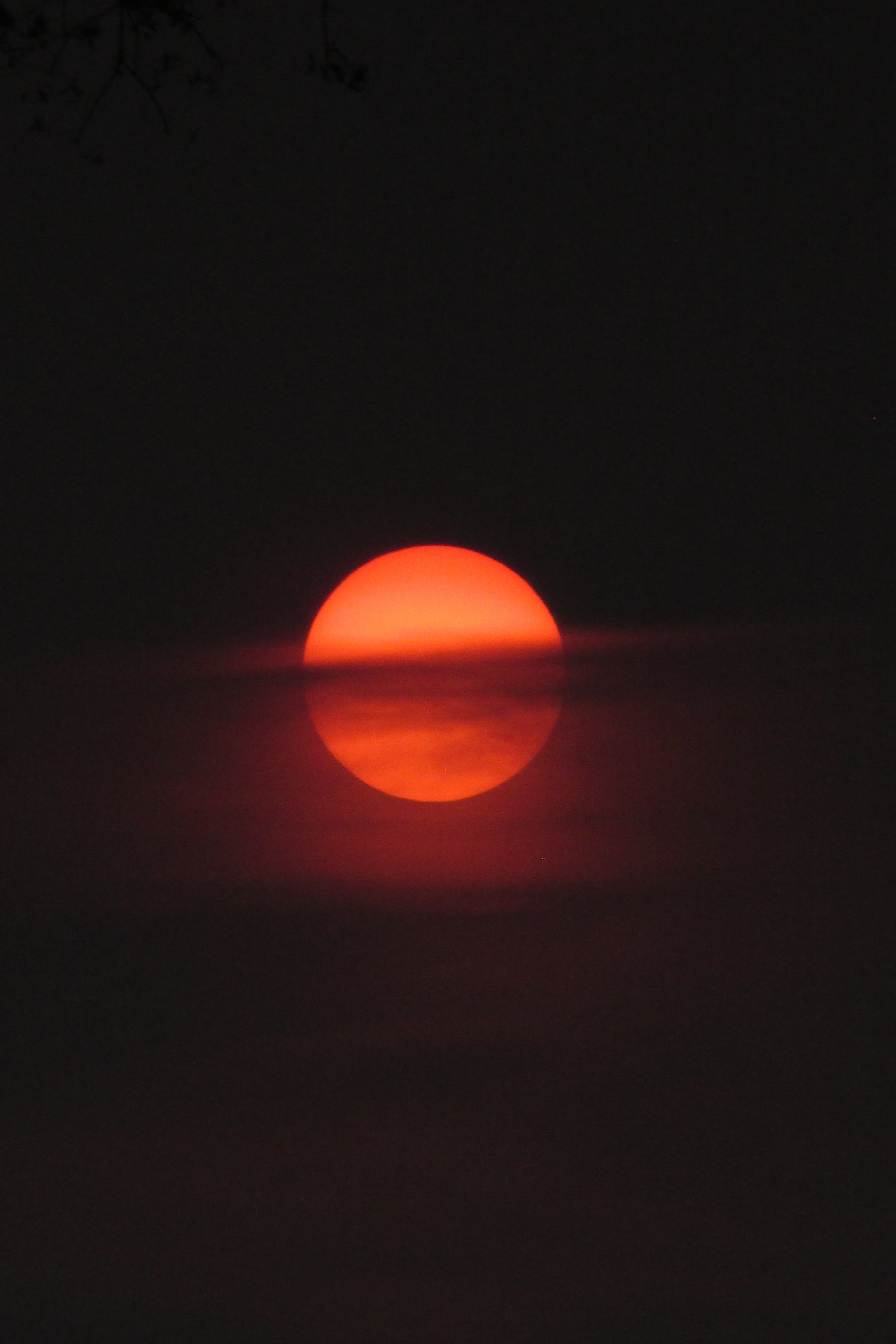She’s the Sun’s Son. Happy Belated Kira, Here’s a Haiku for… | by ...