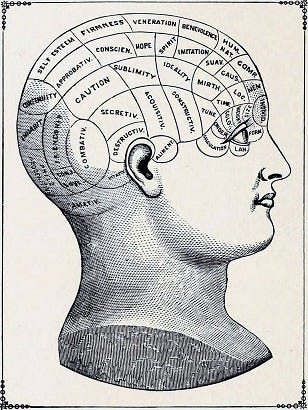 Psych 101 with Maddy: A History of the Brain | by Just Another Being ...