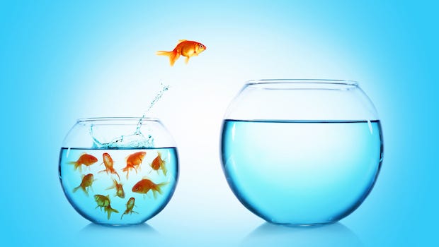 Vue.js Dynamic Components/Classes for People in a Hurry | by Richard ...