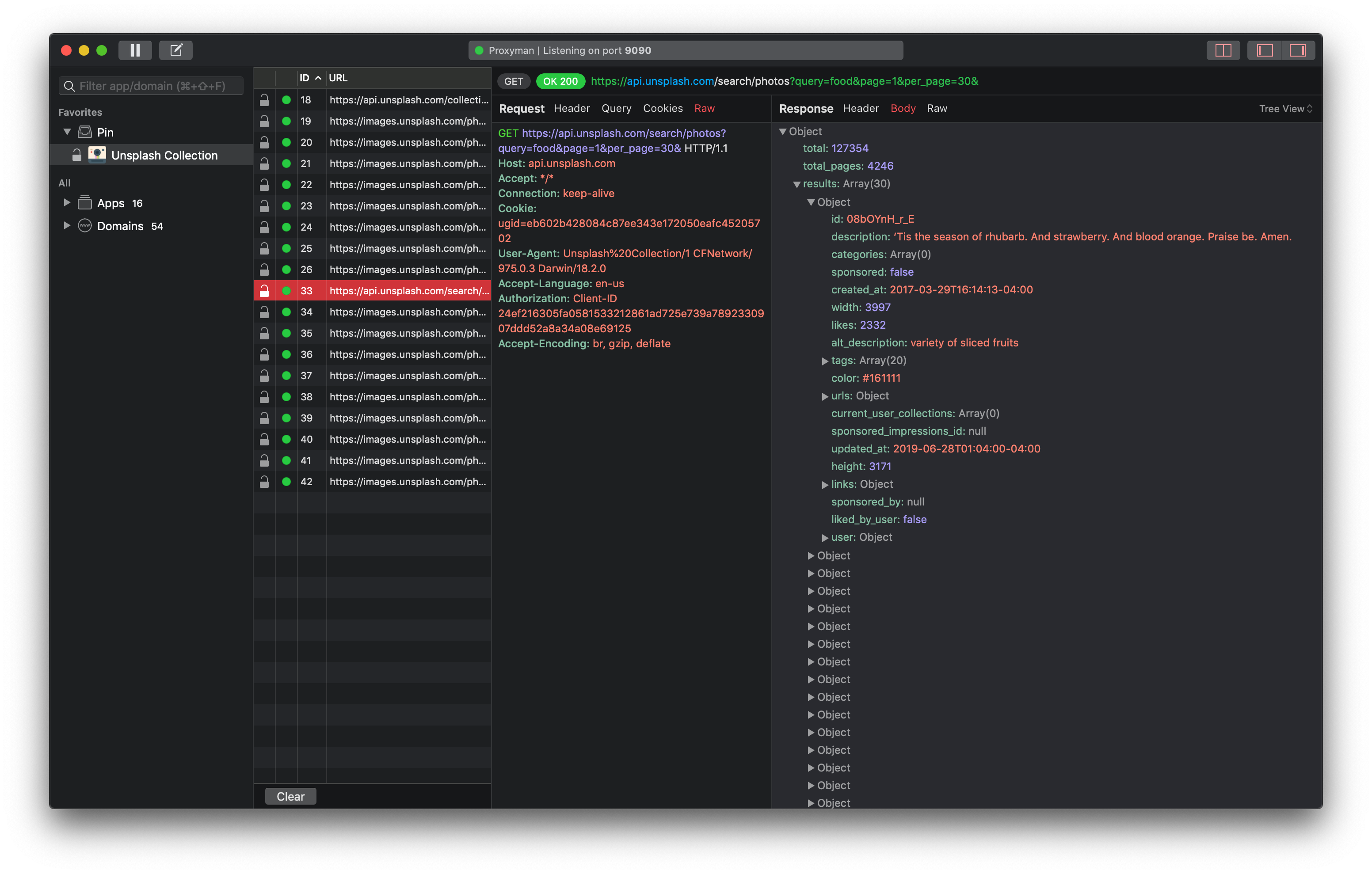 Debugging on iOS Simulator with Proxyman | by Renée | Medium