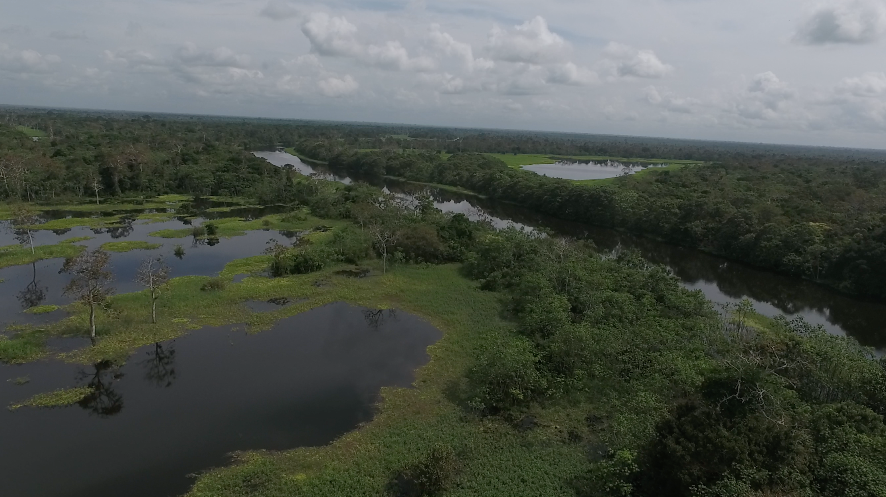 Energy Development Reveals “Blind Spots” in Amazon Conservation | by ...