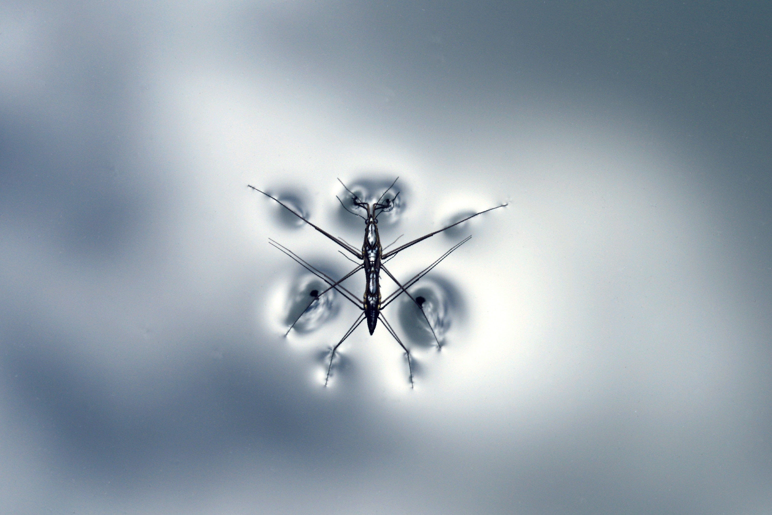 Why Is Water Wet?. Water is normal in our everyday lives… | by Farah ...