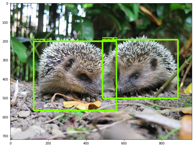 Training a custom object detection model | by Dana Marie Yu | Medium