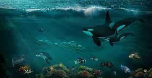 Changing Ways. Throughout the community as a whole… | by Gillian Mead ...