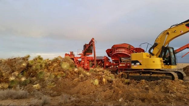 Action alert: Help protect the Joshua tree — Mojave Desert Land Trust