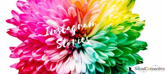 How to Use Instagram’s New Stories Feature | by The Social Connection ...