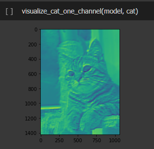 Visualizing Kernels and Feature Maps in Deep Learning Model (CNN) | by ...