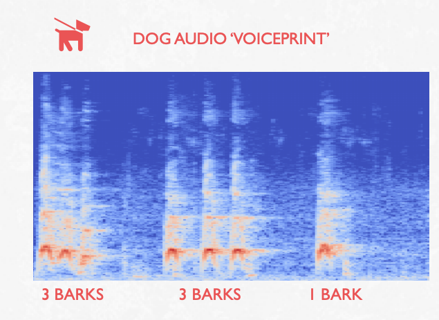 audio classification using python