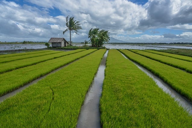 Redistributing Land to Landless Farmers | by Jonathan V. | Medium