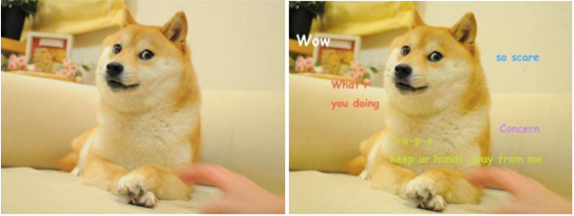 The History of ‘Doge’. The misspelling of dog as ‘doge’ began… | by ...