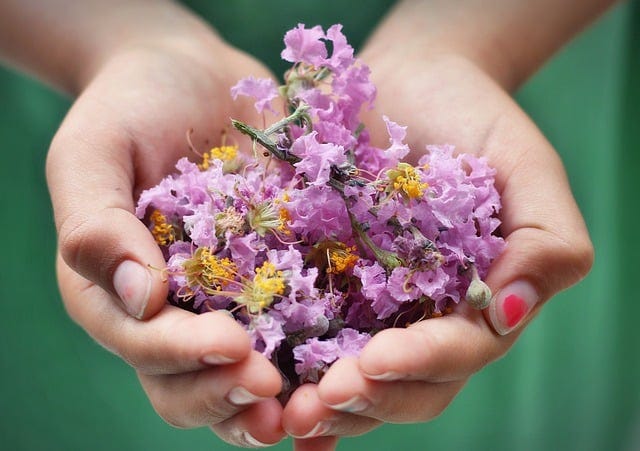 Top Healing Gemstones and Crystals For Children | by Madeline Colon ...